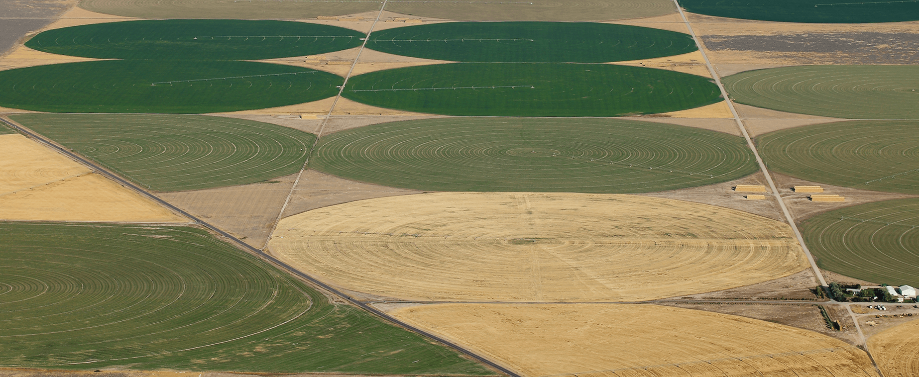 Comparing Corn Variety Yields in Center Pivot Irrigated Fields - FarmTRX